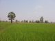 Salavan Province - LIWG